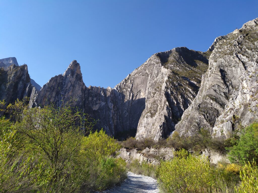 SITIOS – Birding Monterrey